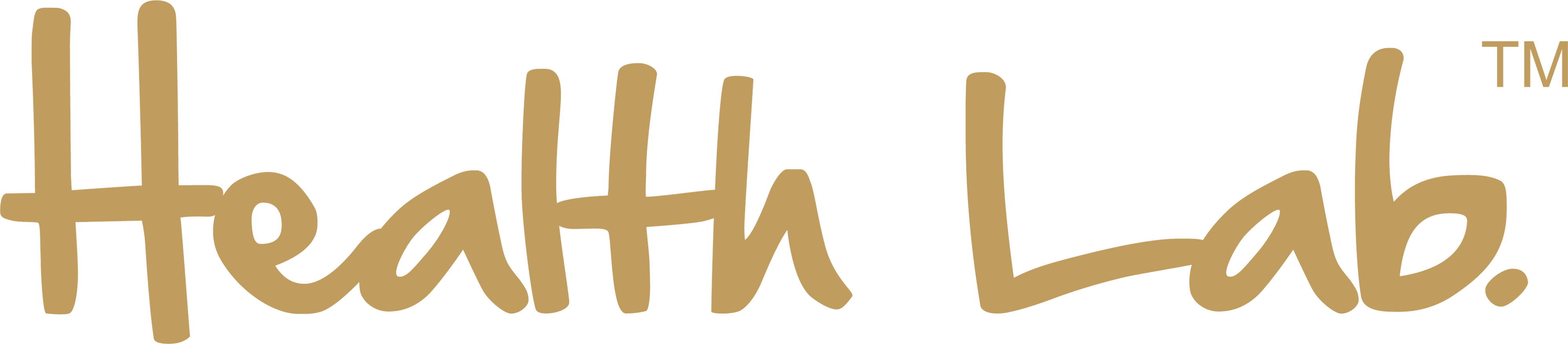 Chewy Choc Chip Protein Balls (12 balls) – Health Lab