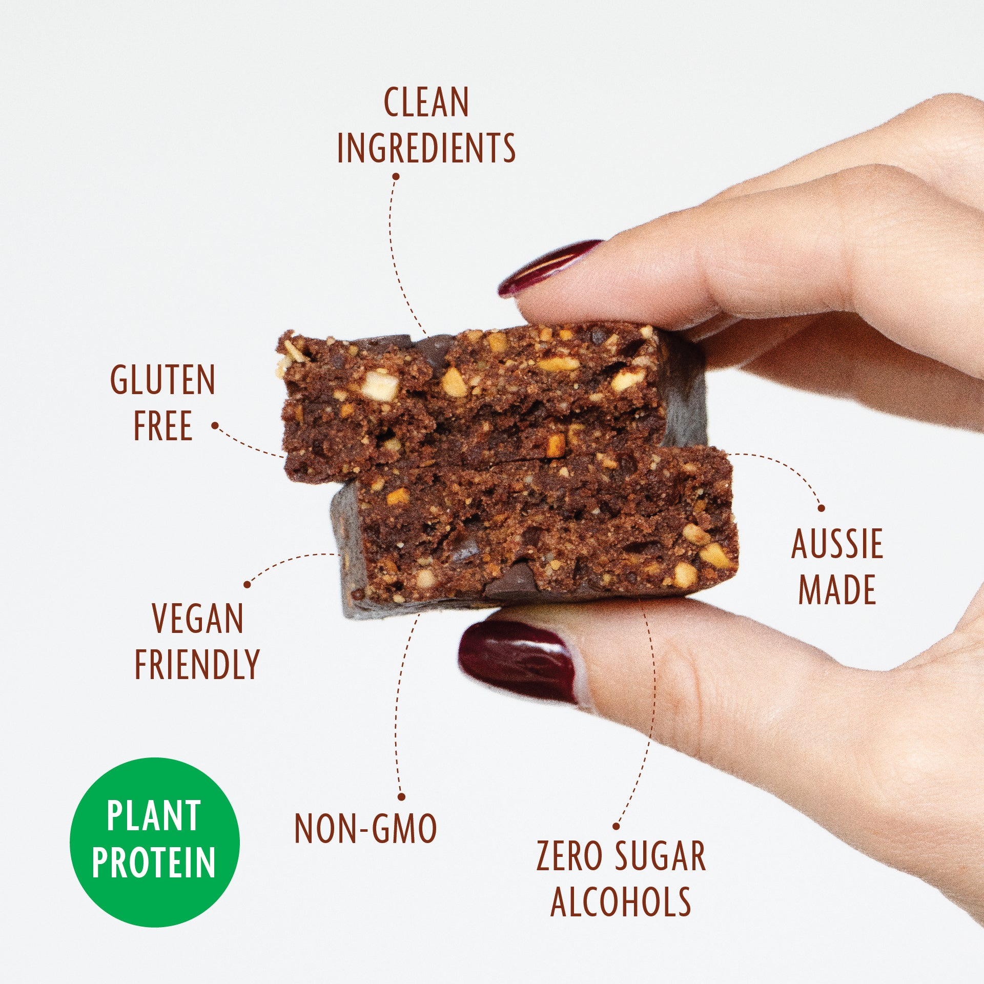 Choc Protein Slices (12 Bars) – Health Lab